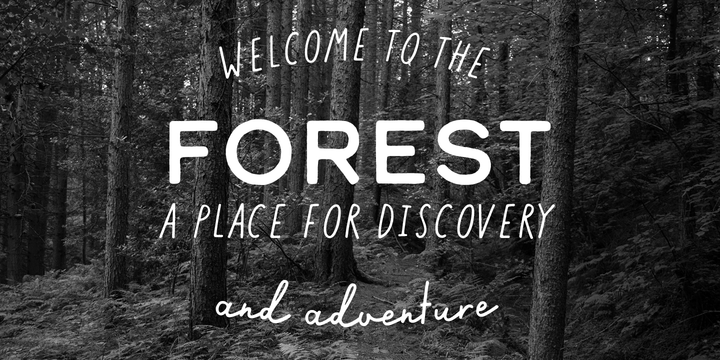 Calder Font Family - Free Font