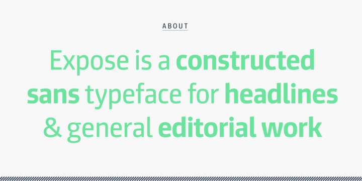 Expose Font Family - Free Font