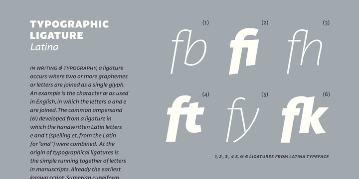 Latina Font Family - Free Font