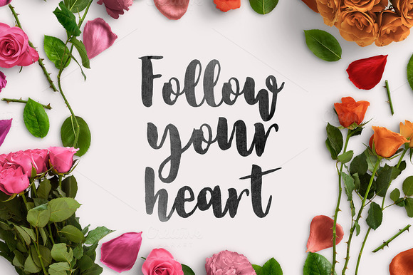 Melina Font - Free Font