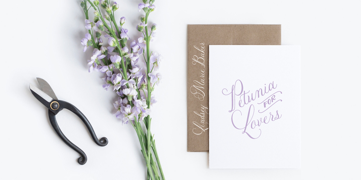 Petunia Font Family - Free Font