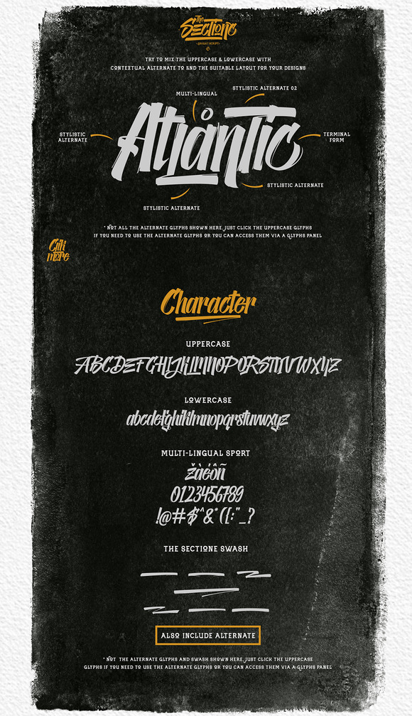 The Sectione Bright Font - Free Font