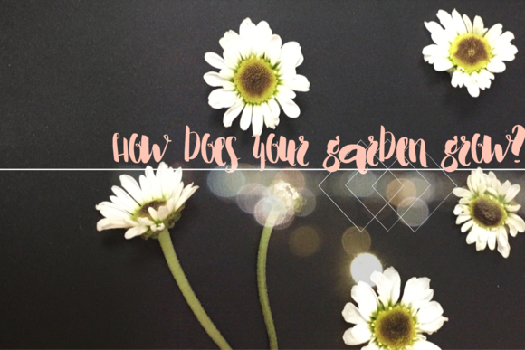 Nancy Script Font - Free Font