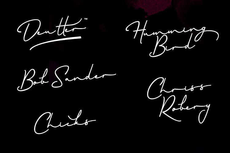 Anomaly Font Family - Free Font