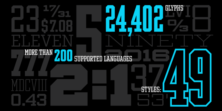 Winner Font Family - Free Font
