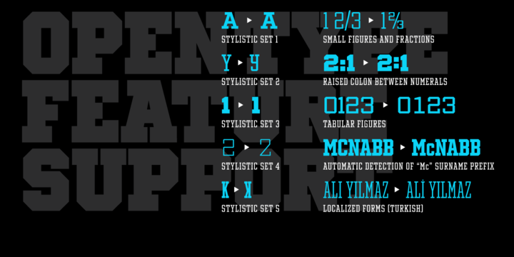 Winner Font Family - Free Font