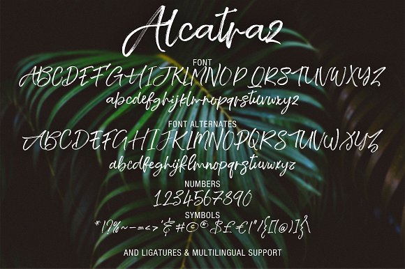 Alcatraz Script Font - Free Font