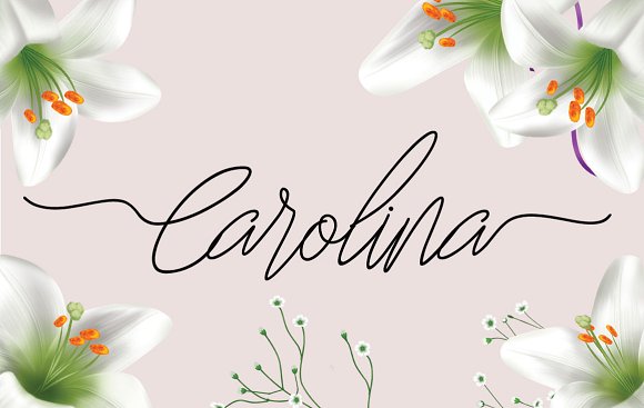 Carolina Font - Free Font