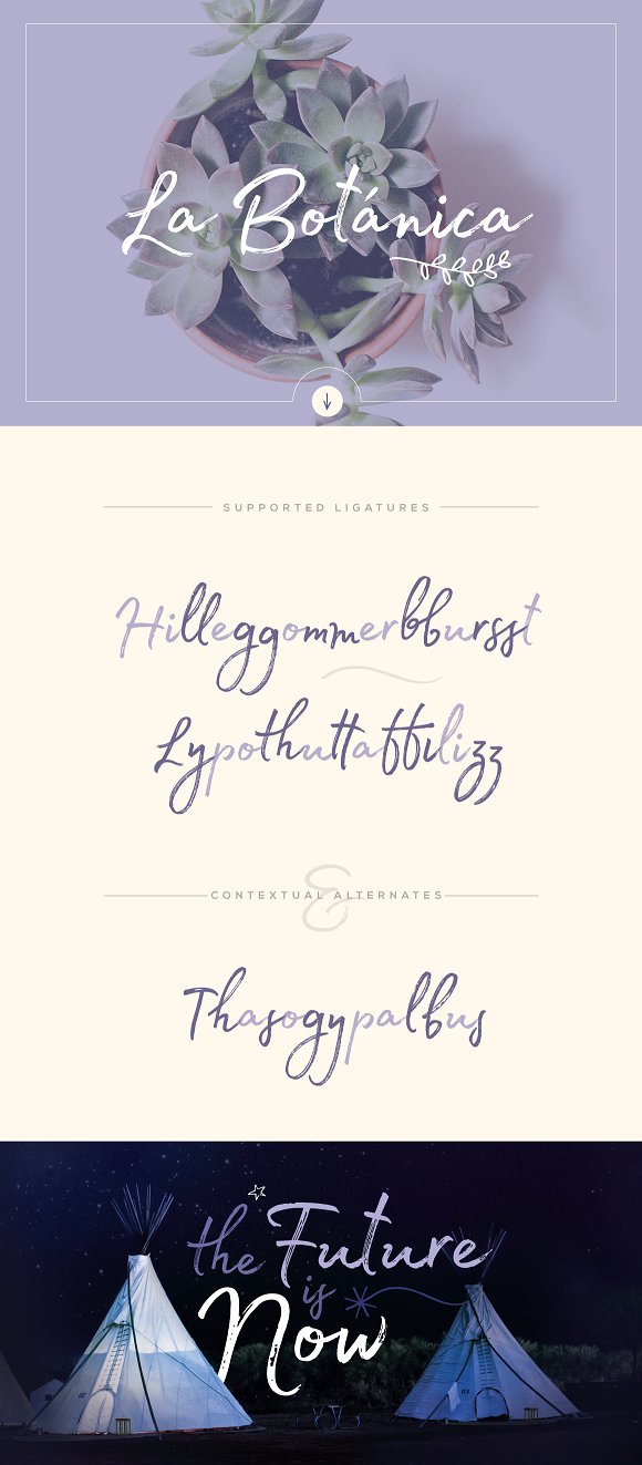 Madelyn Script Font - Free Font