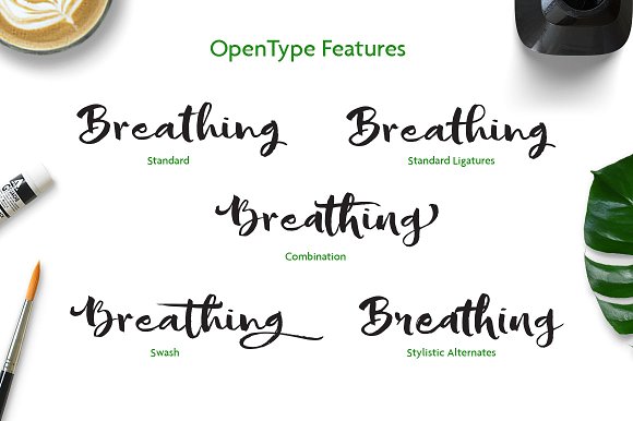 Sofie Script Font - Free Font