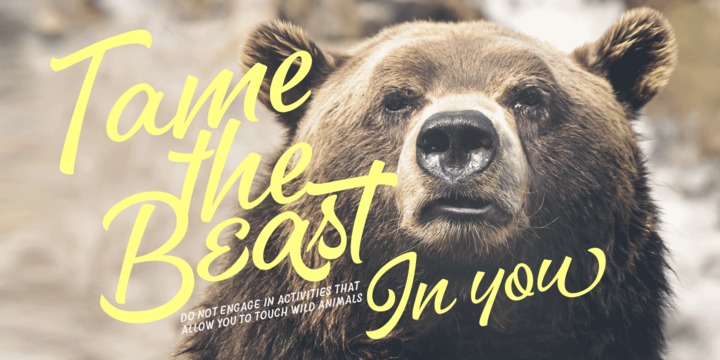 Dog Days Font Family - Free Font