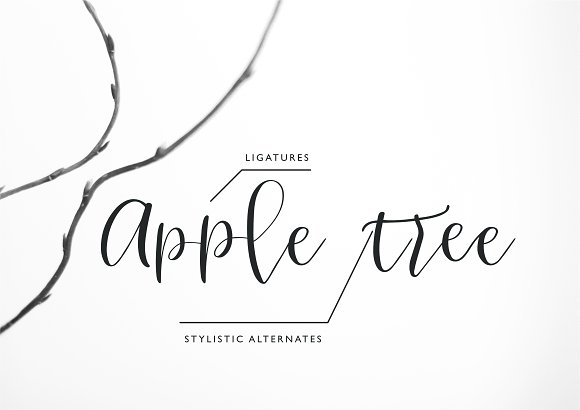 Apple Tree Calligraphy Typeface - Free Font