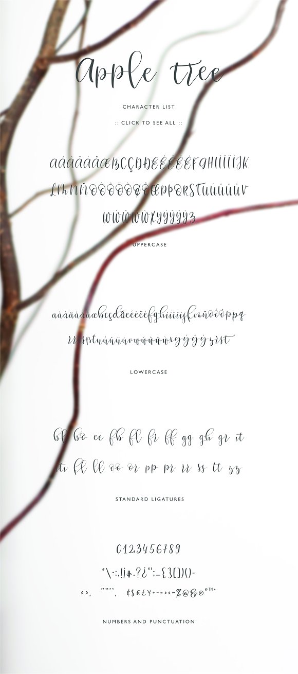 Apple Tree Calligraphy Typeface - Free Font