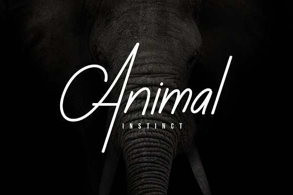 Rusa Hitam Font - Free Font