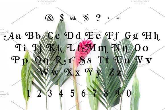 Gilbert Font - Free Font