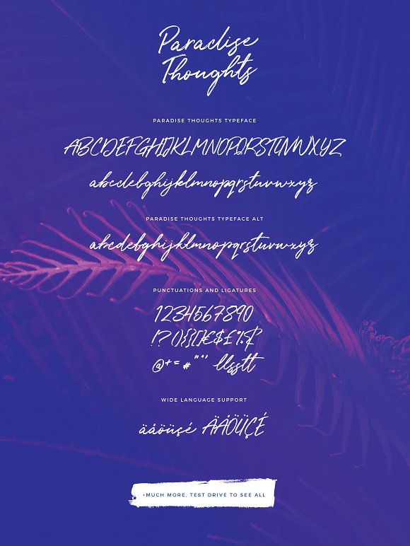 Paradise Thoughts Typeface - Free Font