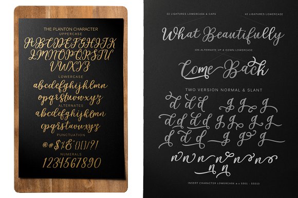 Planton Script Font - Free Font