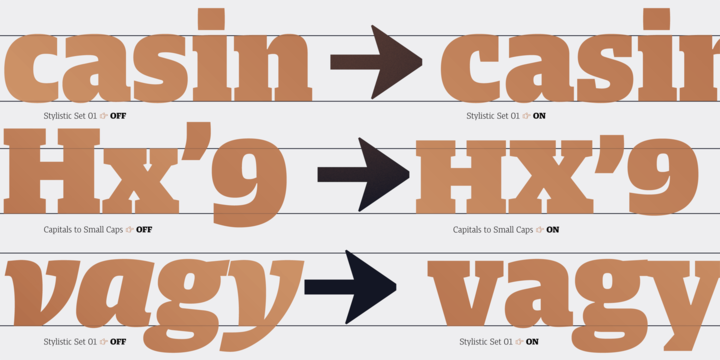 Harrison Serif Pro Font Family - Free Font
