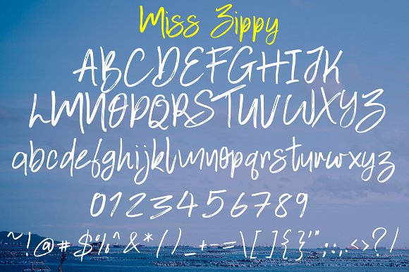 Miss Zippy | Chic Typeface - Free Font