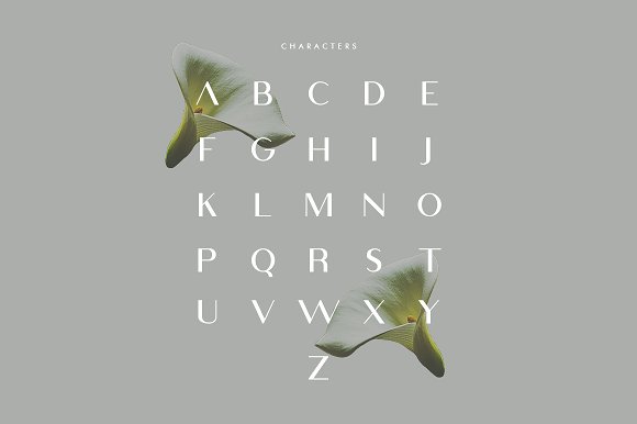 Premium Product - Viola Typeface - Free Font