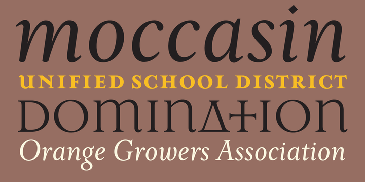 Priori Serif Font Family - Free Font