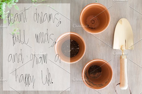 Ridge Script Font - Free Font