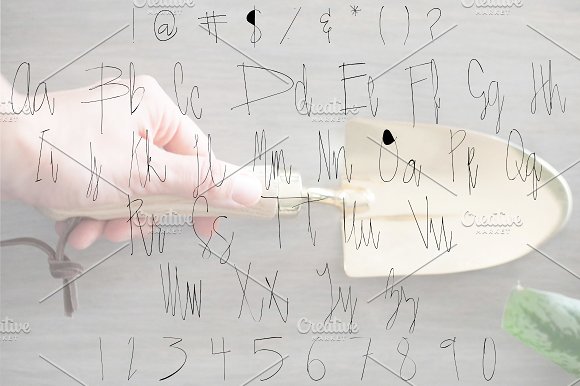 Ridge Script Font - Free Font