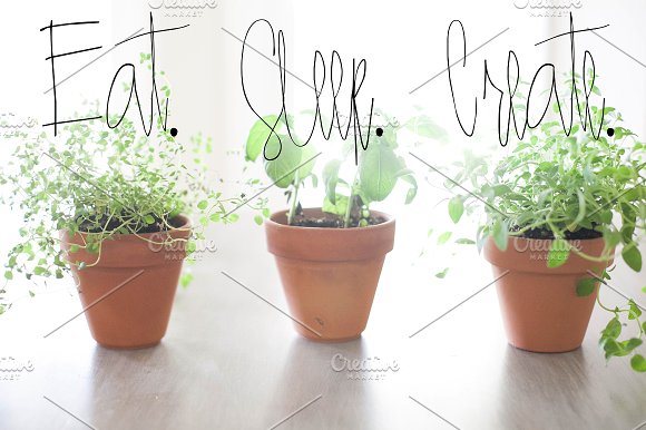 Ridge Script Font - Free Font