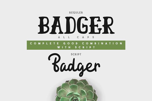 Badger Typeface - Free Font