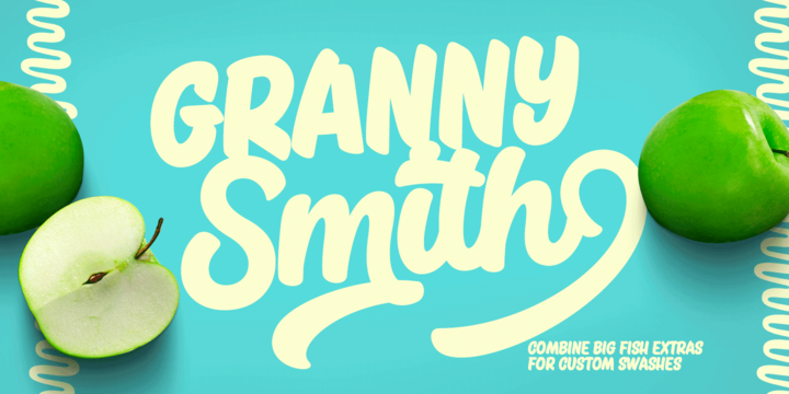 Big Fish Font Family - Free Font