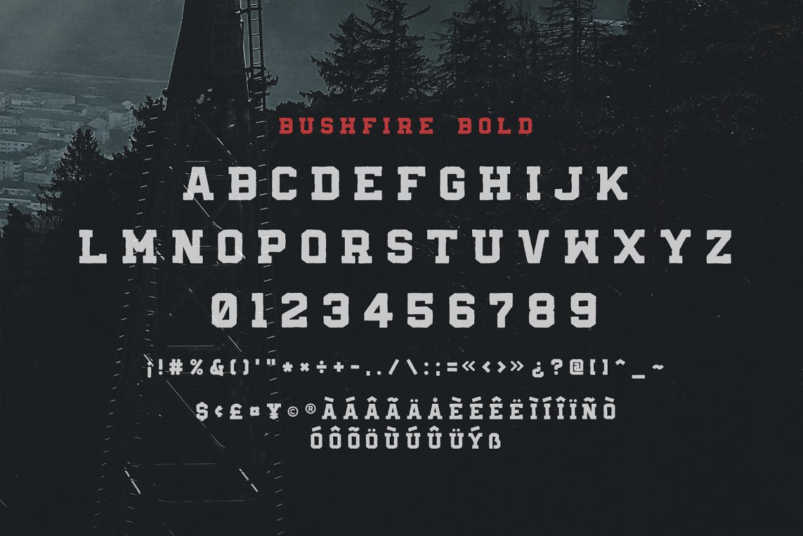 Bushfire - 4 Font Family - Free Font
