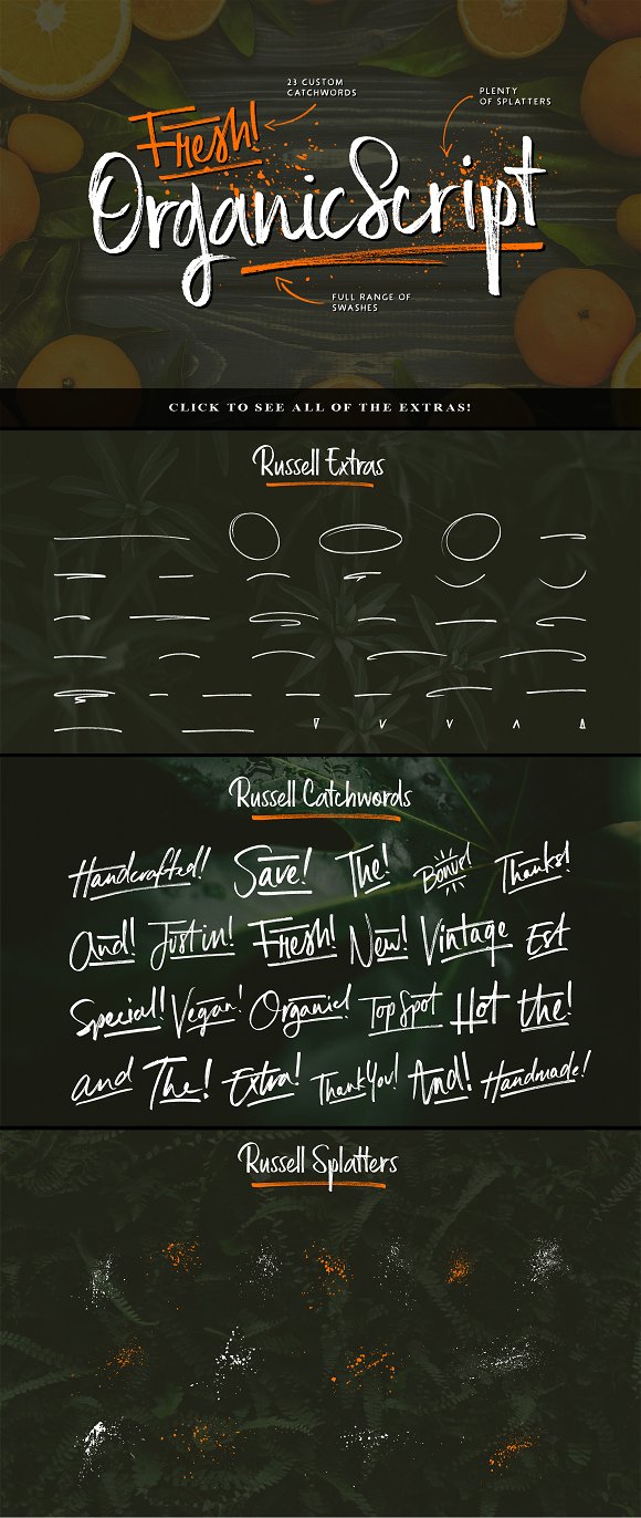 Russell Brush Script Font - Free Font