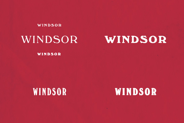 Windsor Font Family - Free Font