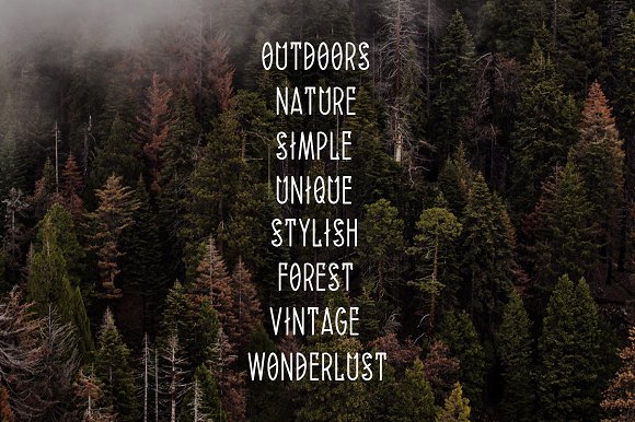 Forest Dreams - Free Font