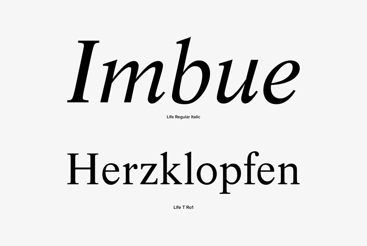 Life Font Family - Free Font