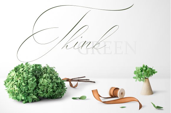 The - Blackpool Script Fonts - Free Font