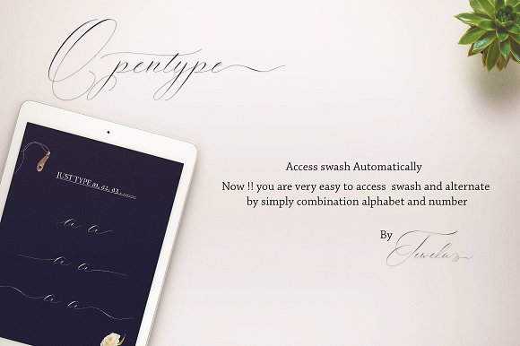 The - Blackpool Script Fonts - Free Font