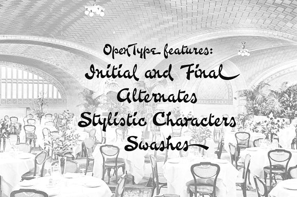 Waiter Script Font - Free Font