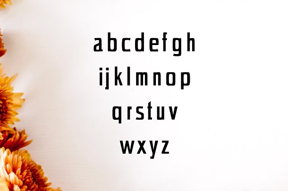 Chrys Sans Serif 4 Font Family Pack - Free Font