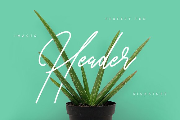 Asturria Signature - Free Font