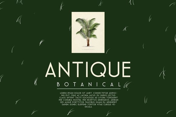 Francy Font - Free Font