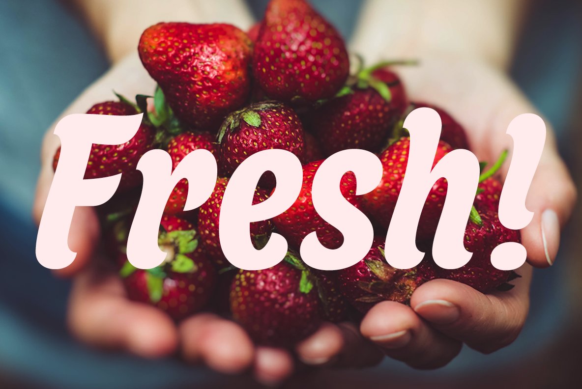 Juno Font Family - Free Font