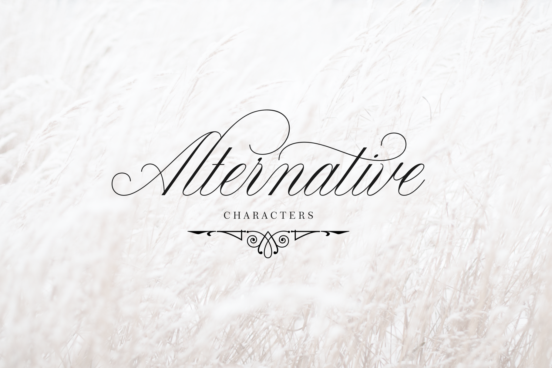 Claudya Script - Free Font