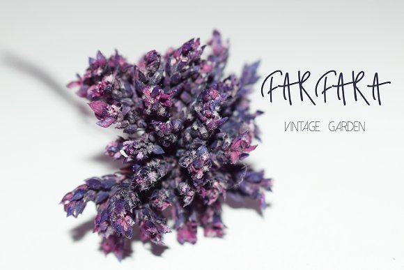 Wilson Font - Free Font