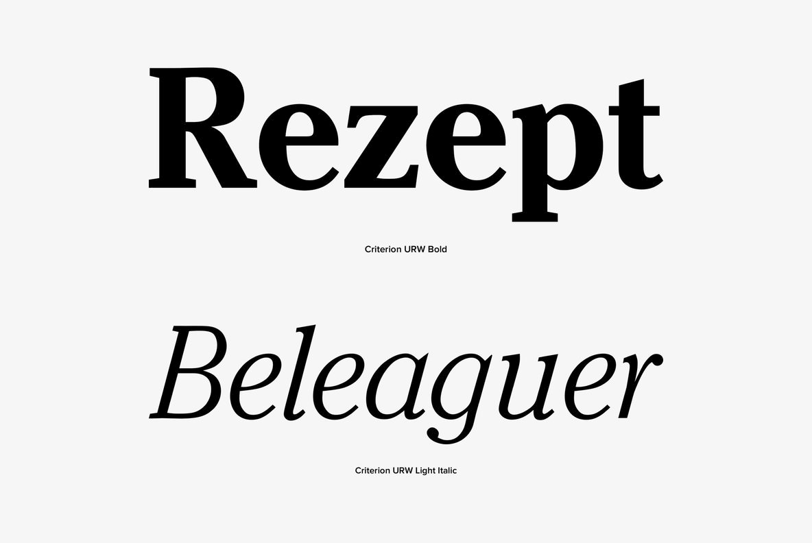 Criterion Font Family - Free Font