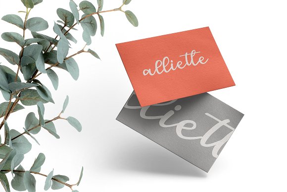 Sofia Script Font - Free Font