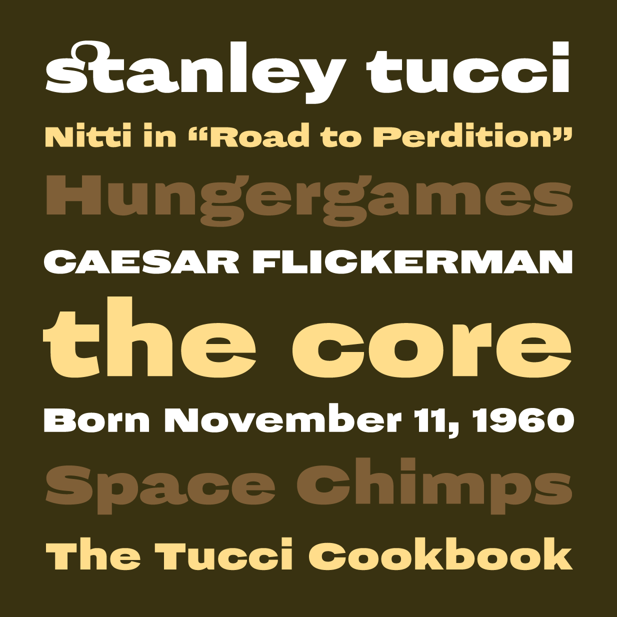 Stanley Font Family - Free Font