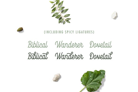 Kanto Script | A Monoline Typeface - Free Font