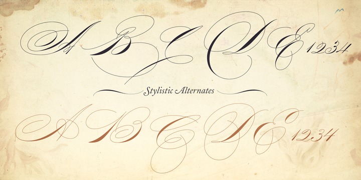 Rapid Writing Script Font - Free Font