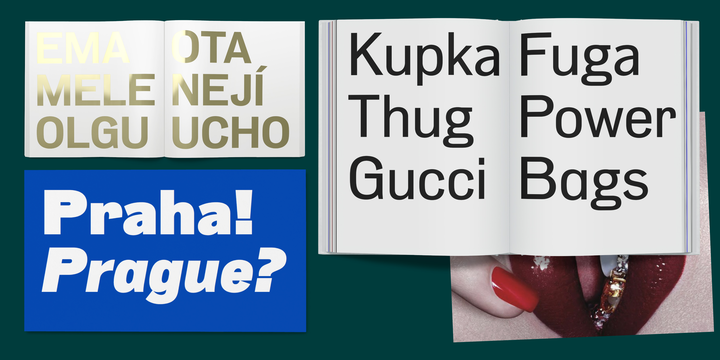 Slavia Font Family - Free Font